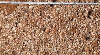 The Role of Gibber Pebbles | Bush Heritage Australia