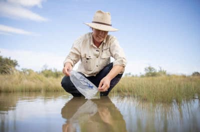 Moving Red-finned Blue-Eye Fish | Bush Heritage Australia