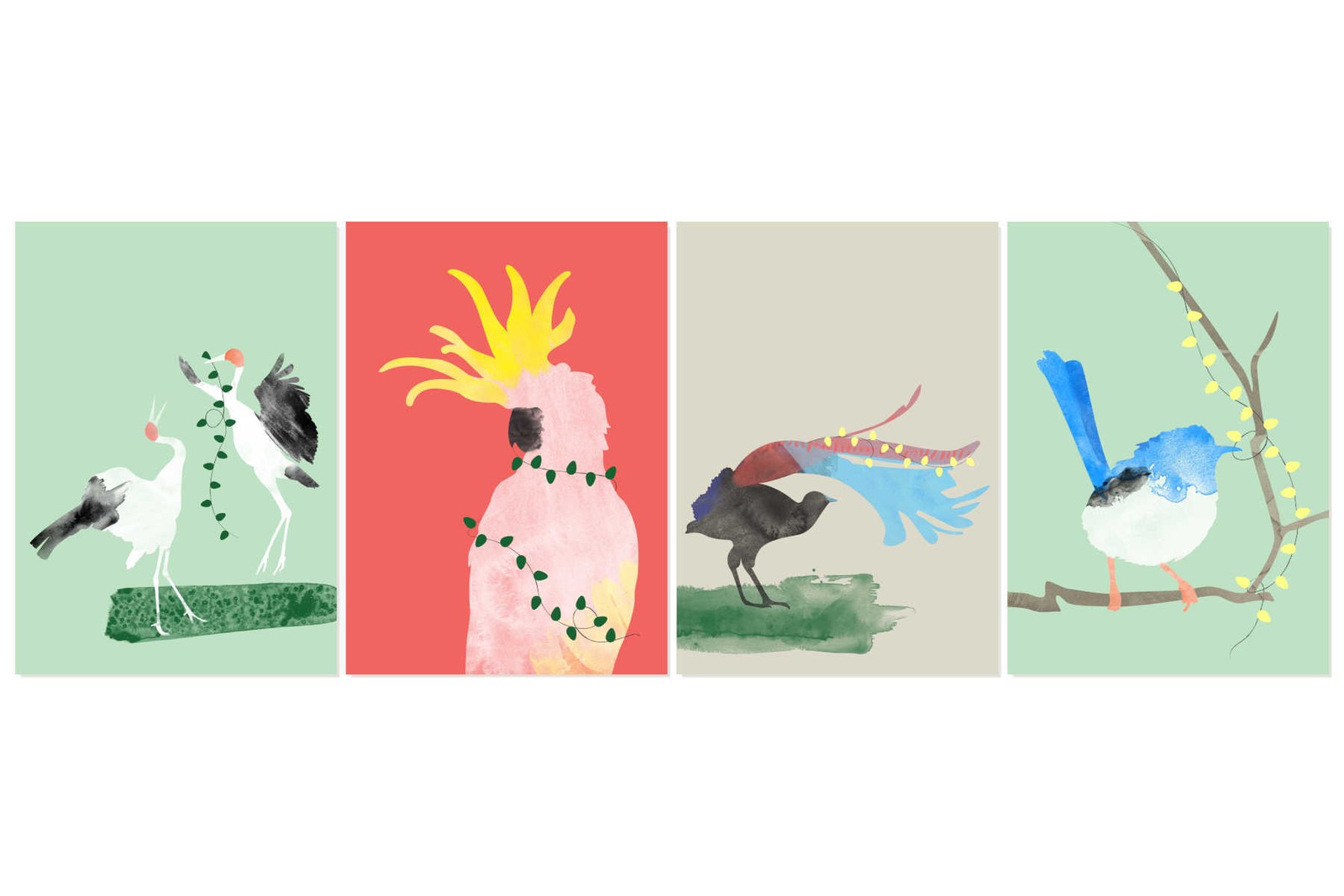 Native Bird Gift Cards | Bush Heritage Australia