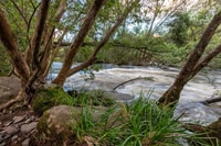 Uncovering Brogo's secrets | Bush Heritage Australia