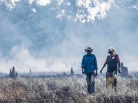 Mimal Rangers & Firebirds | Bush Heritage Australia