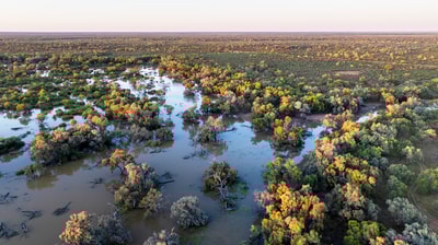 Bushtracks Summer 2025 | Bush Heritage Australia